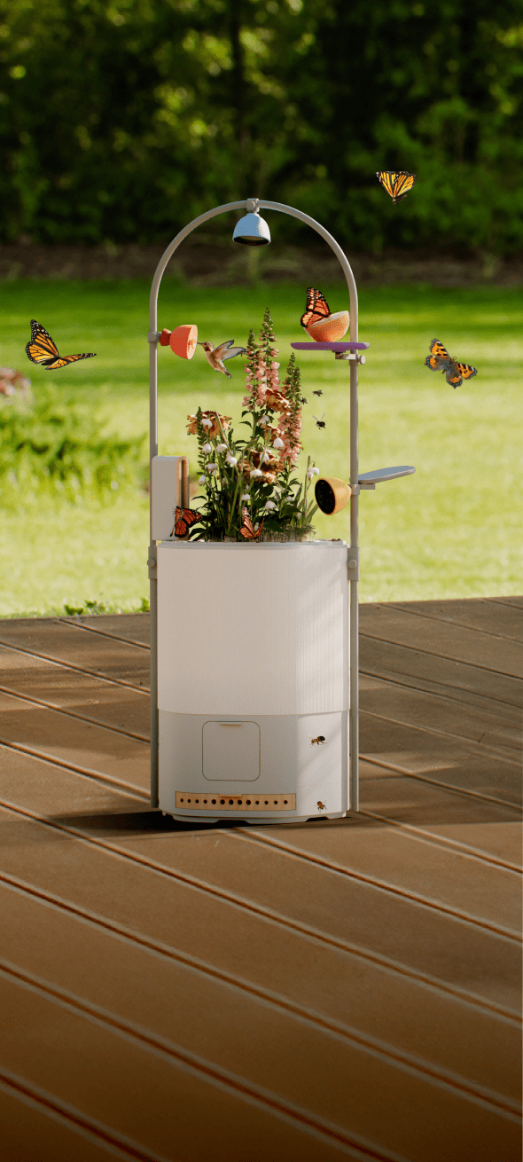 Wonder | Petal & Wonder Blocks: Your Smart Nature Observatory