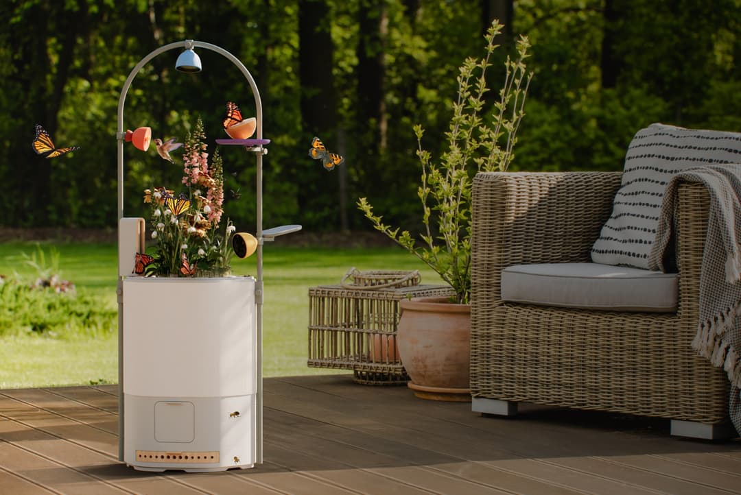 Wonder | Petal & Wonder Blocks: Your Smart Nature Observatory
